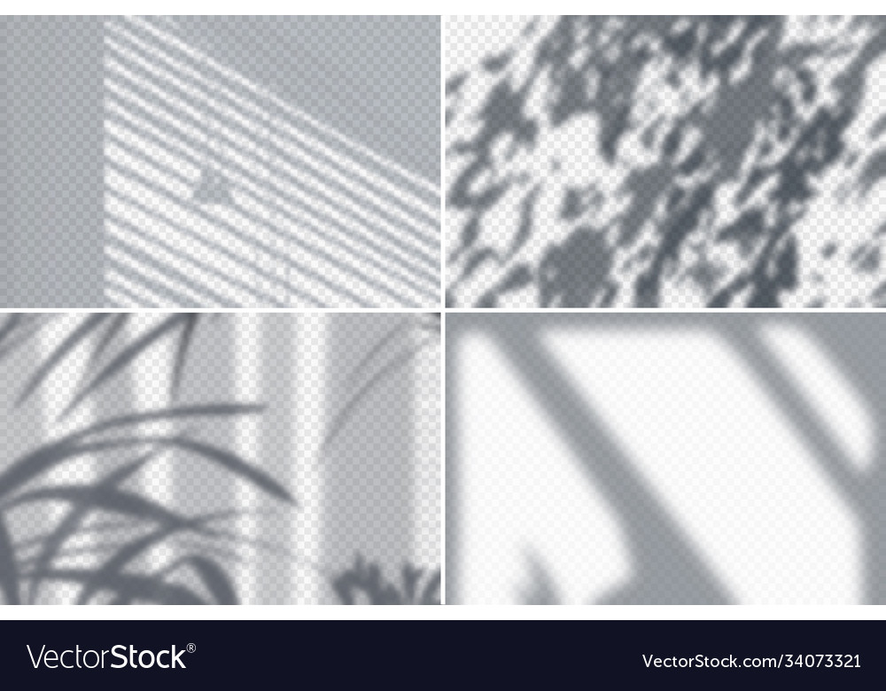 Realistic shadow set Royalty Free Vector Image