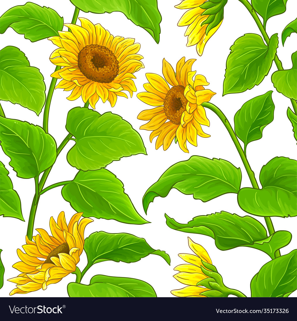 Sunflower pattern Royalty Free Vector Image - VectorStock