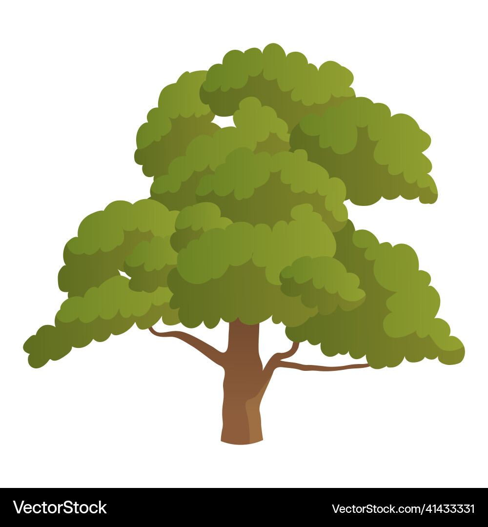 Realistic green oak isolated on white background Vector Image
