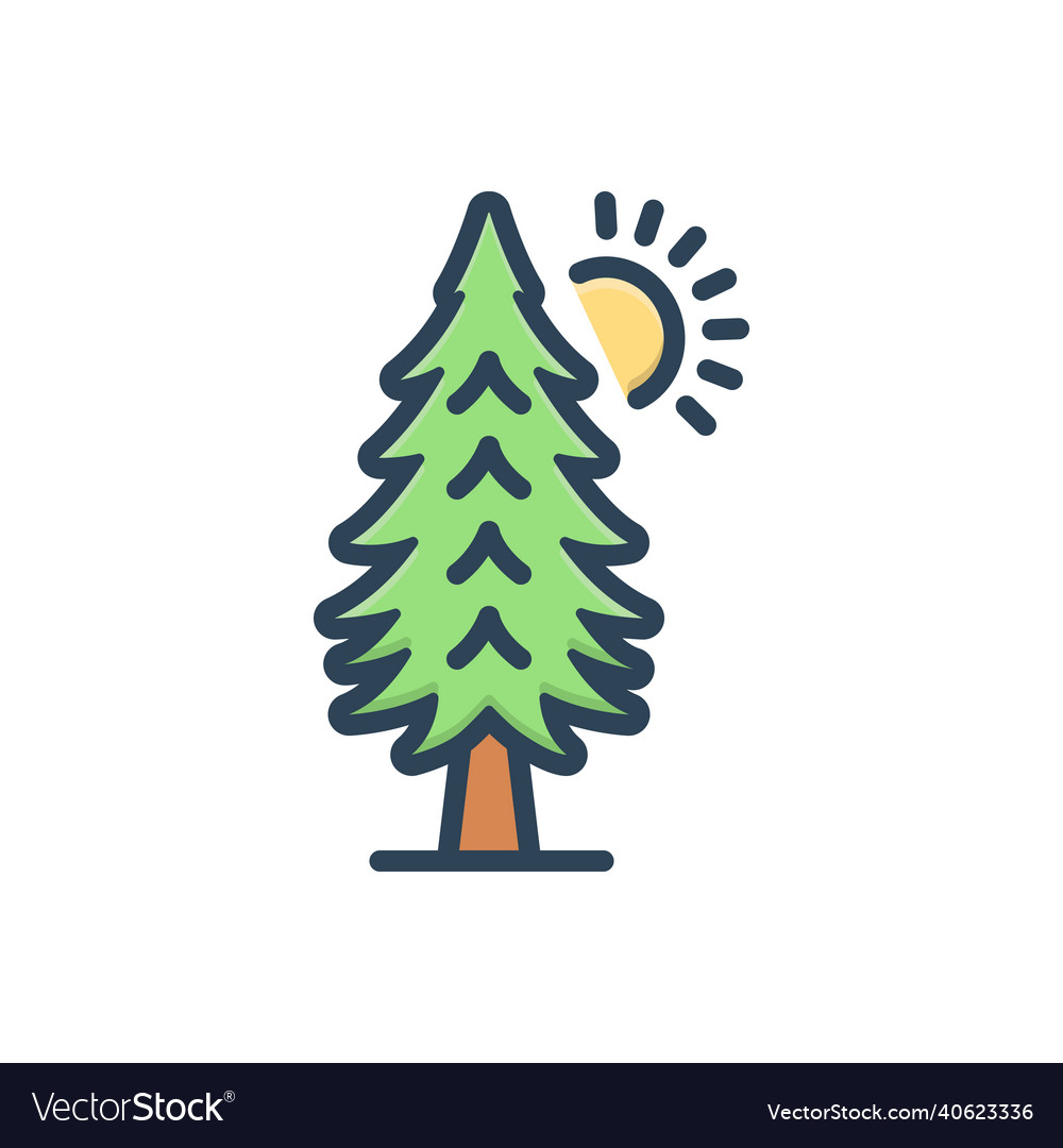 Pine trees Royalty Free Vector Image - VectorStock