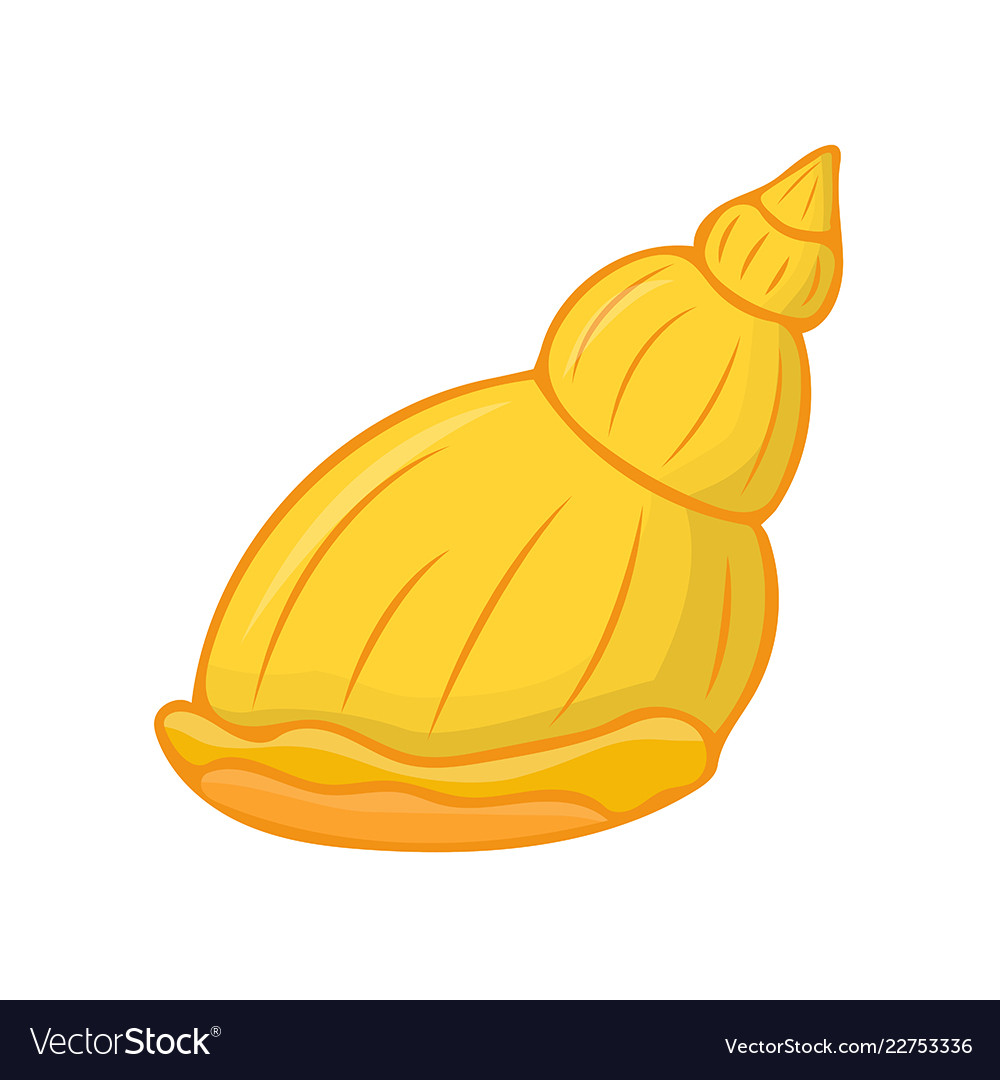 Seashell isolated Royalty Free Vector Image - VectorStock