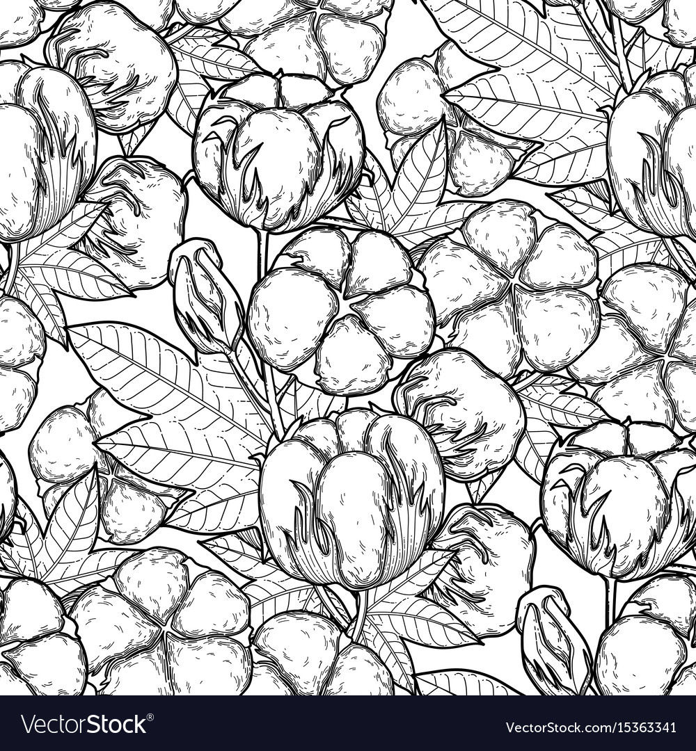 Graphic cotton pattern Royalty Free Vector Image