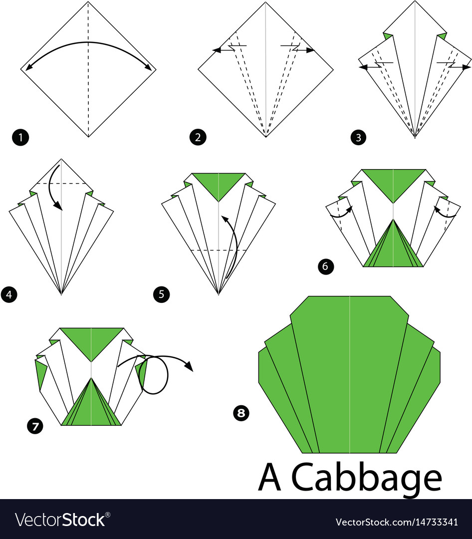 Step by instructions how to make origami Vector Image