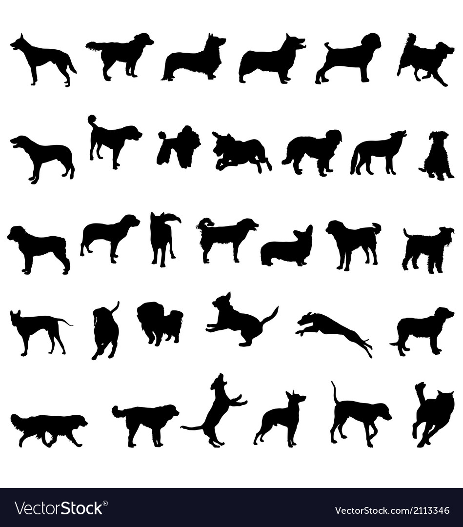 Dogs Royalty Free Vector Image - VectorStock