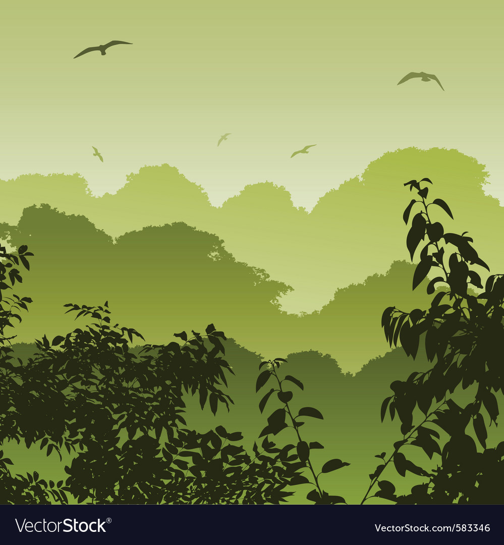 Forest landscape Royalty Free Vector Image - VectorStock