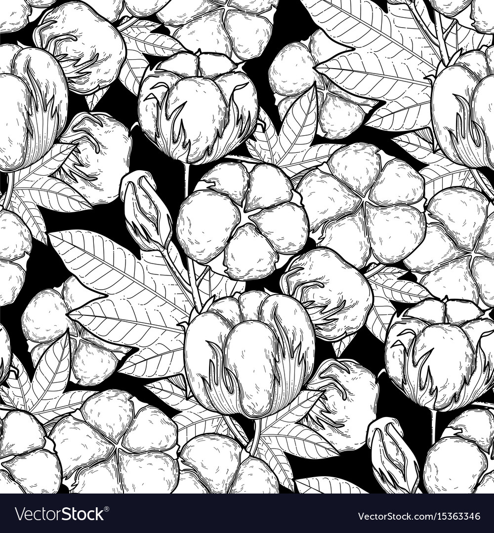 Graphic cotton pattern Royalty Free Vector Image