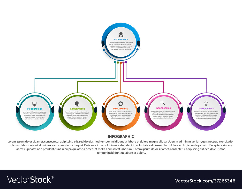 Infographic design organization chart template Vector Image
