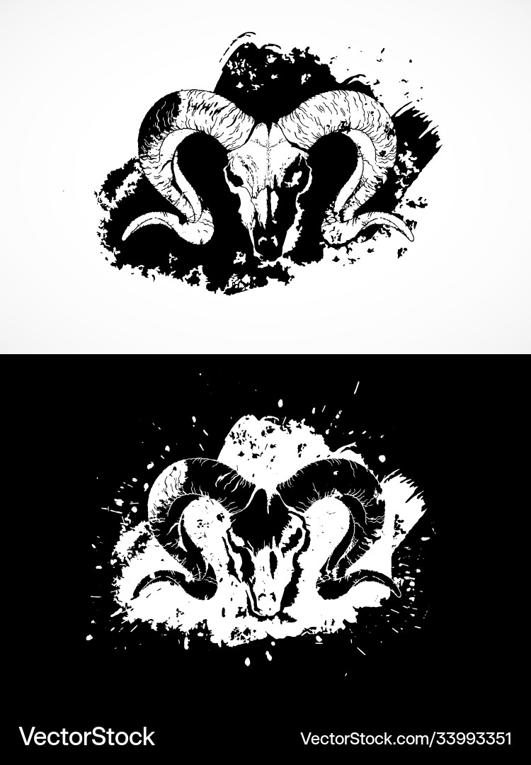 With wild ram skulls two variants black and white Vector Image