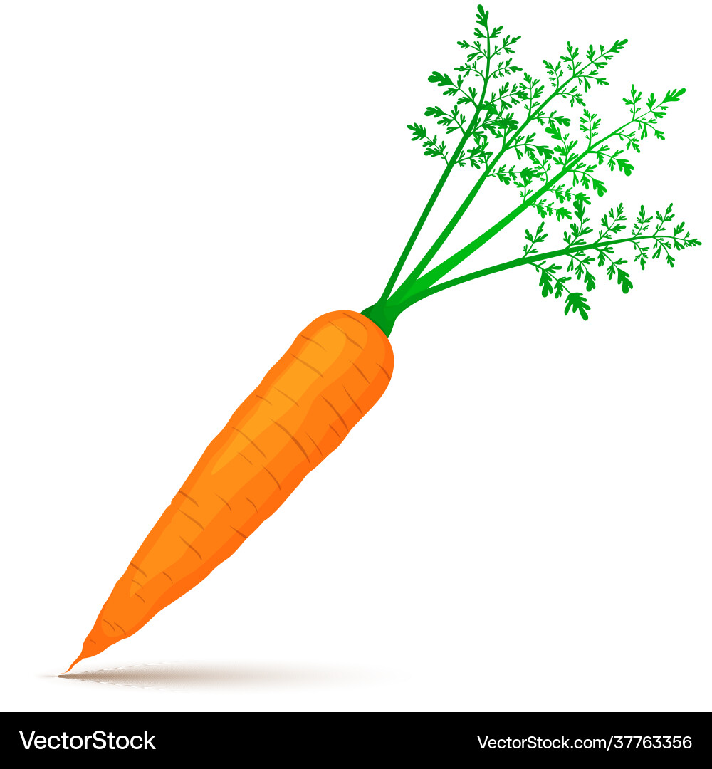 Carrot icon in a flat design on a white background