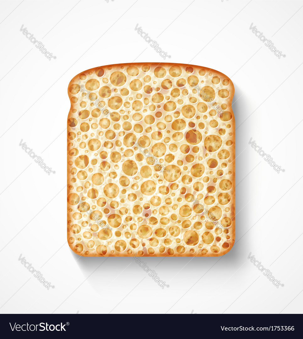Bread slice Royalty Free Vector Image - VectorStock