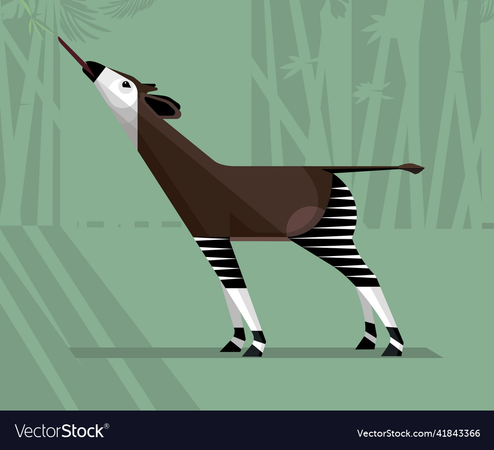 Okapi Royalty Free Vector Image - VectorStock
