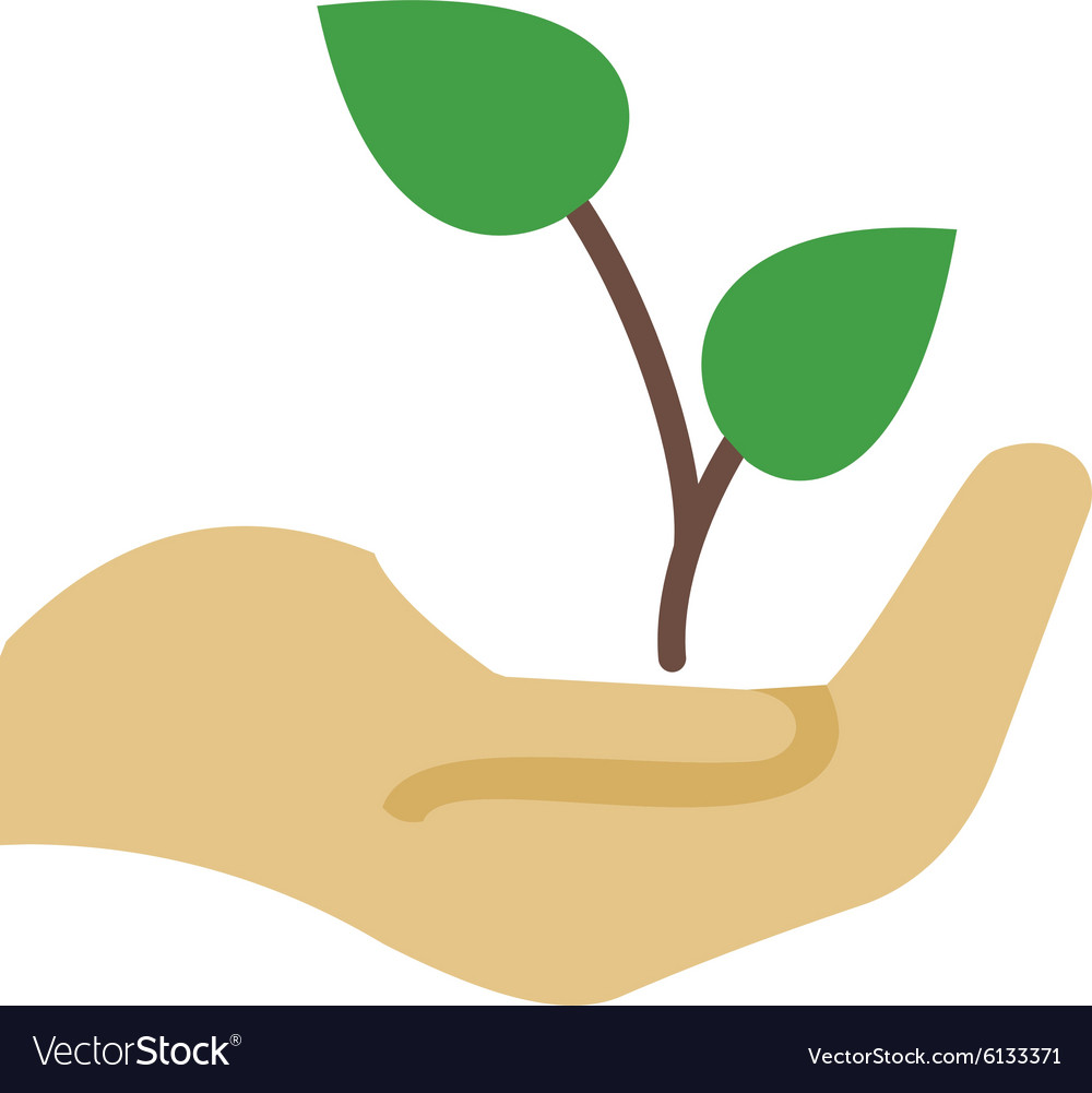Plantation Royalty Free Vector Image - VectorStock