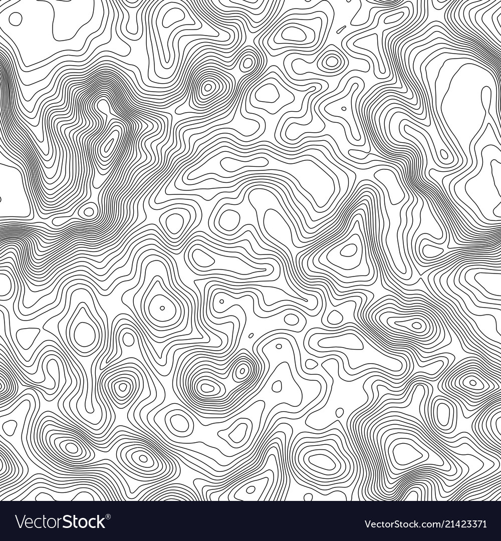 Seamless pattern topographic map background Vector Image