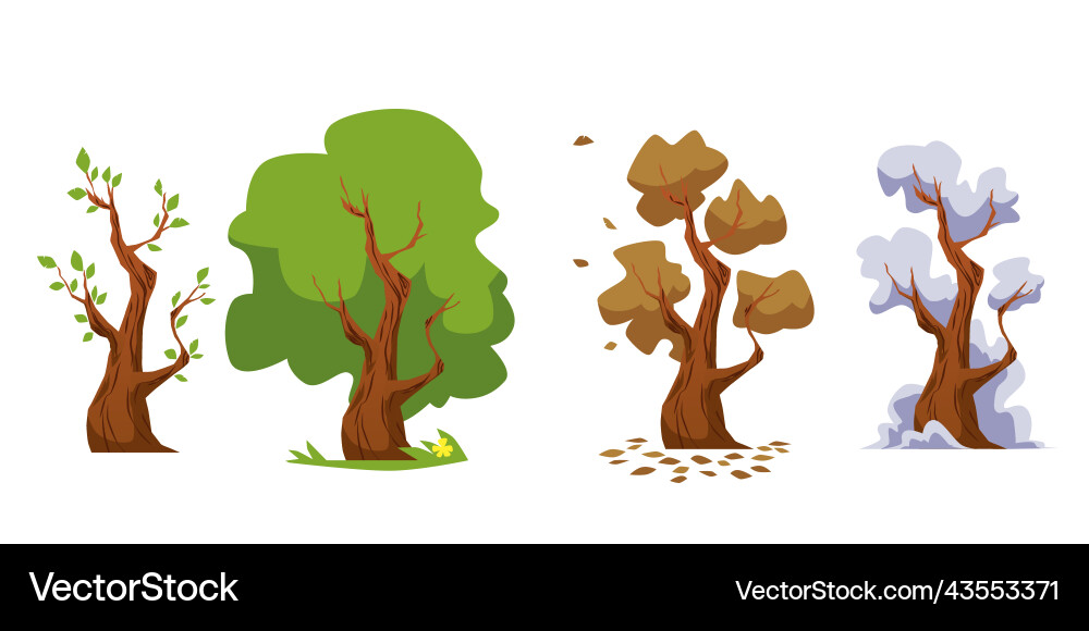 Tree seasonal cycle infographic icons flat Vector Image