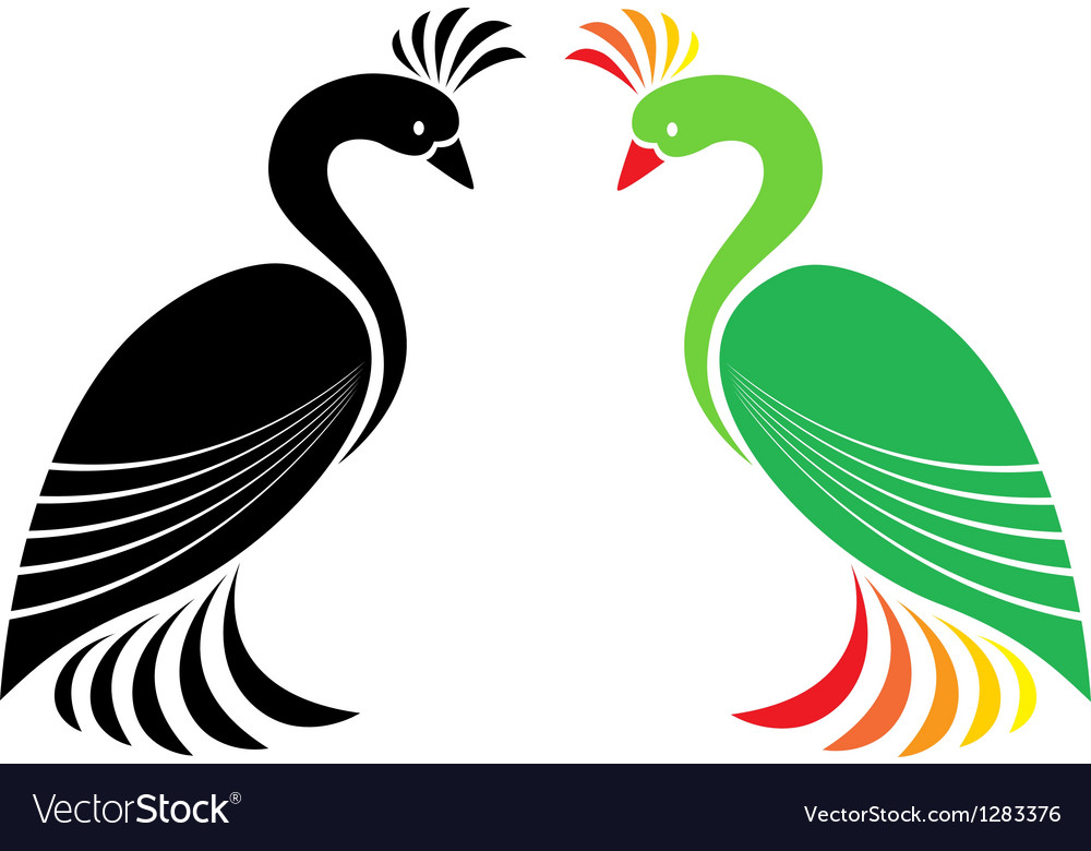Peacock Royalty Free Vector Image - VectorStock