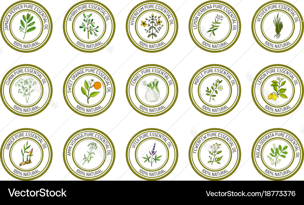 Set of essential oil labels Royalty Free Vector Image