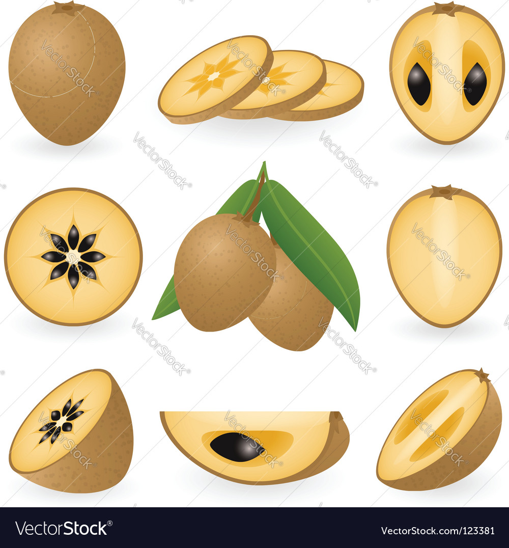 Chiku Royalty Free Vector Image - VectorStock
