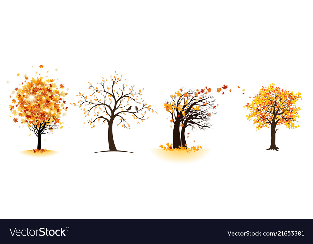Fall maple trees set Royalty Free Vector Image