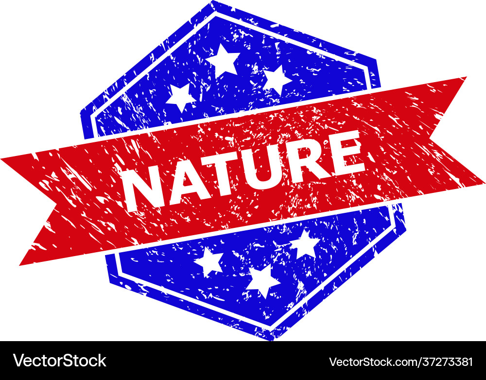 Hexagon bicolor nature watermark with rubber Vector Image