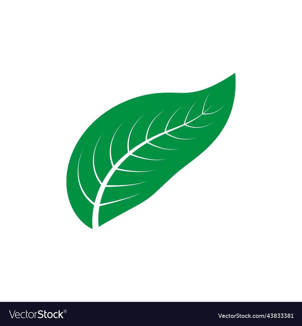 Leaf logo Royalty Free Vector Image - VectorStock