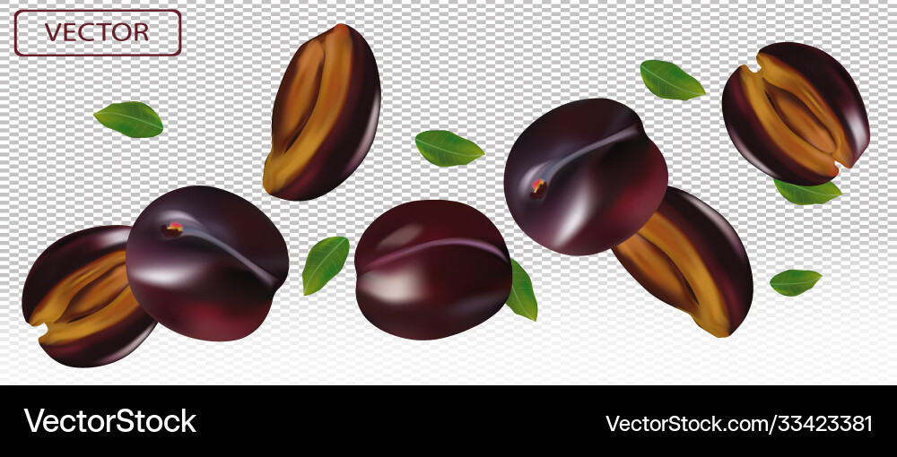 Realistic plum on transparent background whole Vector Image