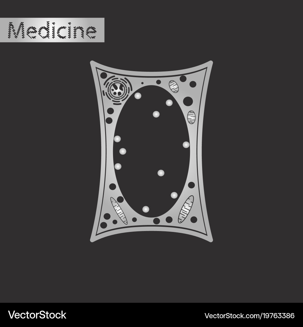 Black and white style icon plant cell Royalty Free Vector