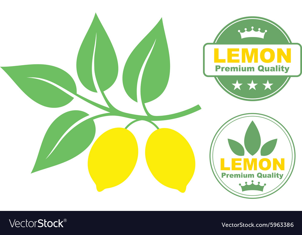 Lemon Royalty Free Vector Image - VectorStock