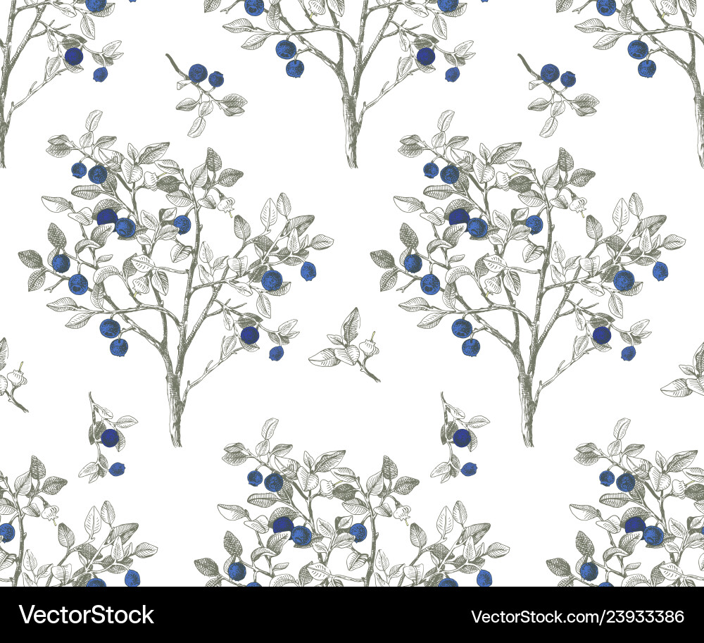 Seamless pattrn with blueberry bushes Royalty Free Vector