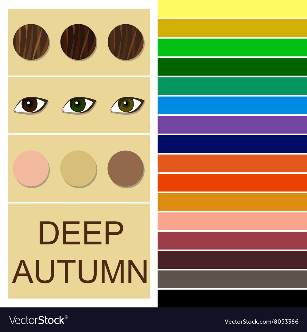 Stock seasonal color analysis palette Royalty Free Vector Stock seasonal color analysis palette Royalty Free Vector