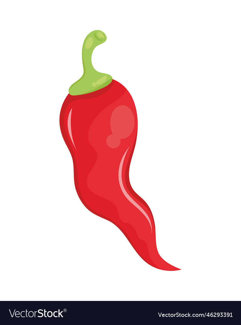 Red chilli pepper vegetable Royalty Free Vector Image