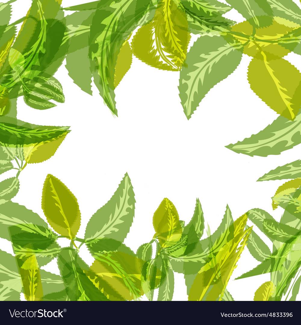 Background leaves Royalty Free Vector Image - VectorStock