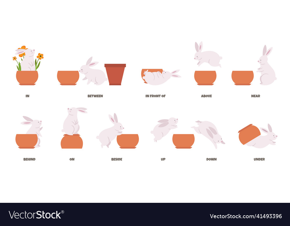 Basic english prepositions poster study language Vector Image