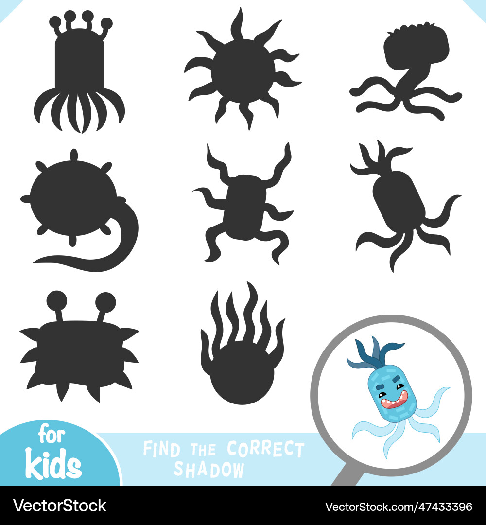 Find the correct shadow game for children cute Vector Image