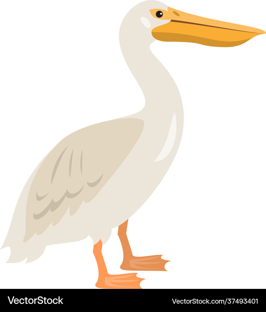 Cartoon pelican icon on white background Vector Image