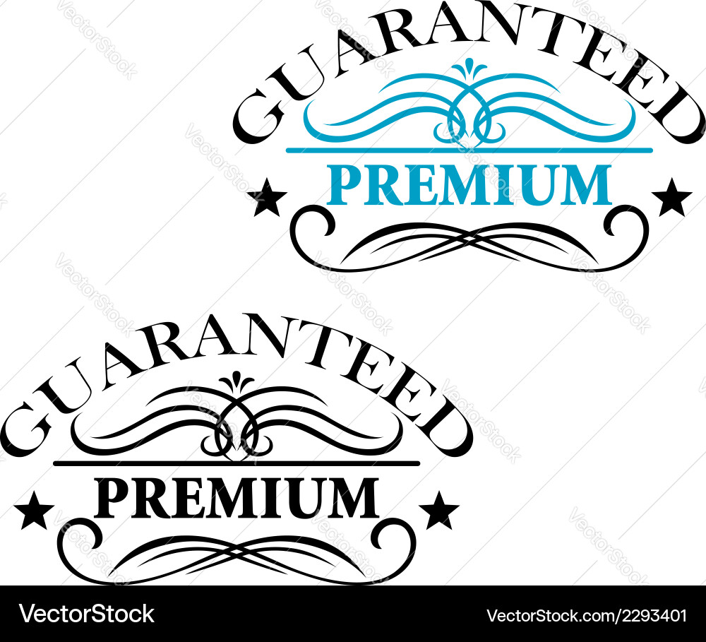 Guaranteed premium calligraphic elements Vector Image