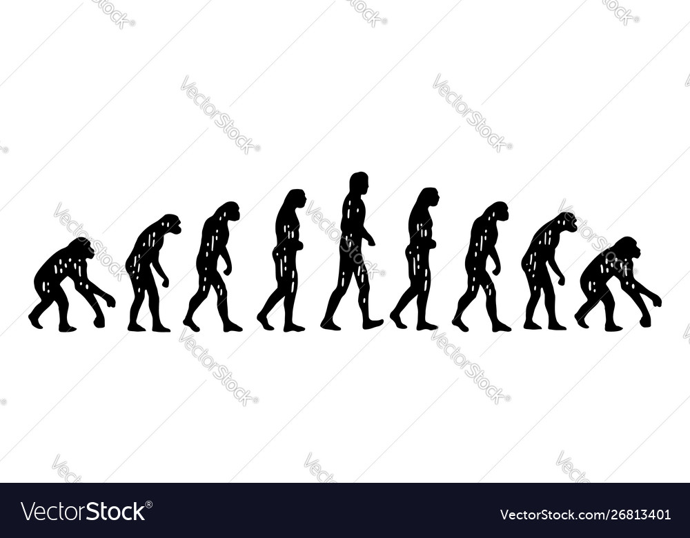 Theory evolution man from monkey Royalty Free Vector Image