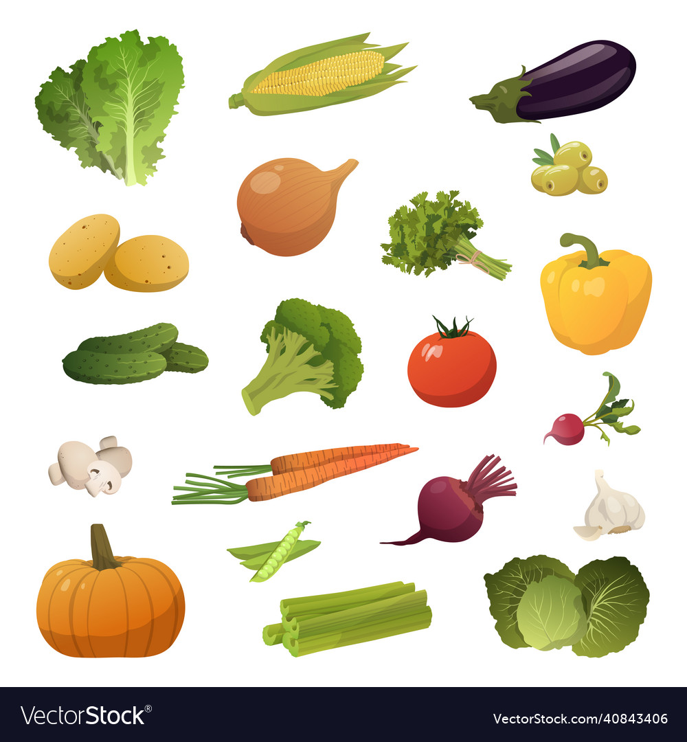 Set of 20 pieces different vegetables Royalty Free Vector
