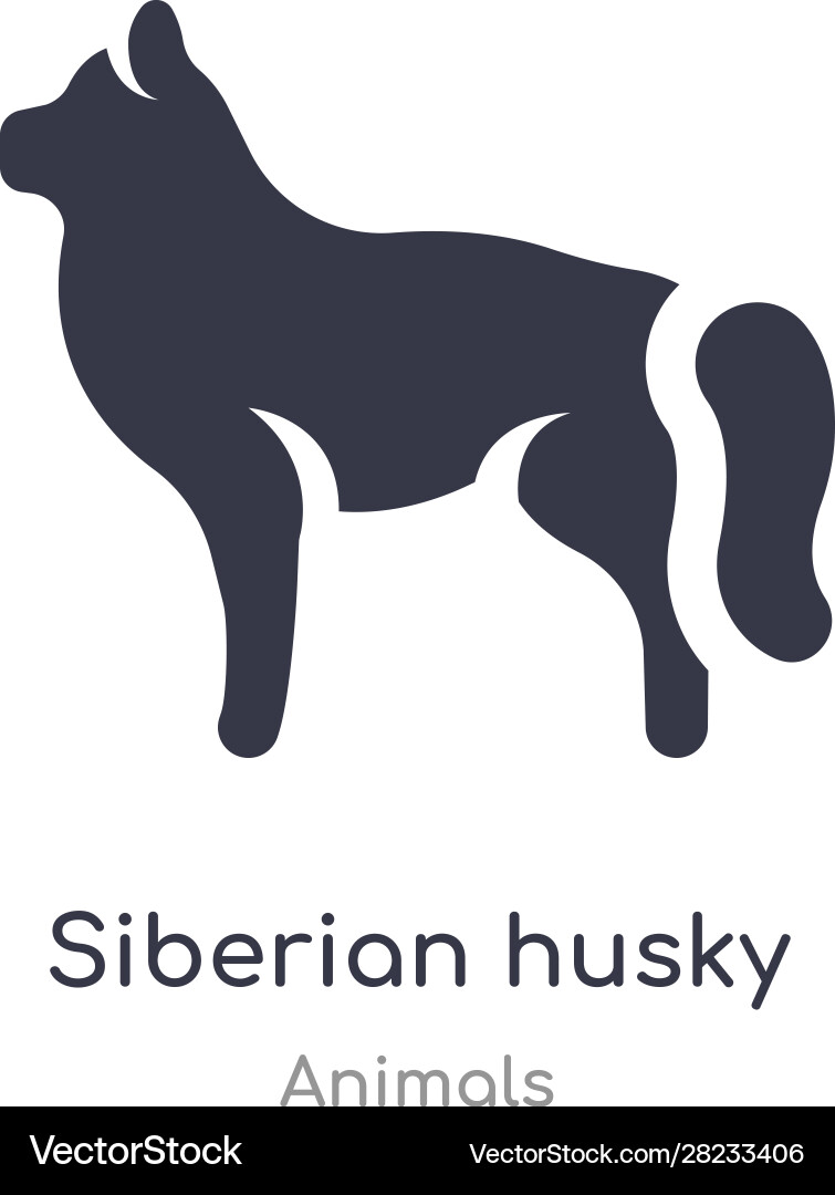 Siberian husky icon isolated husky icon Royalty Free Vector