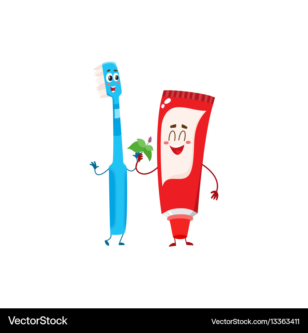 Funny toothpaste and toothbrush character dental Vector Image