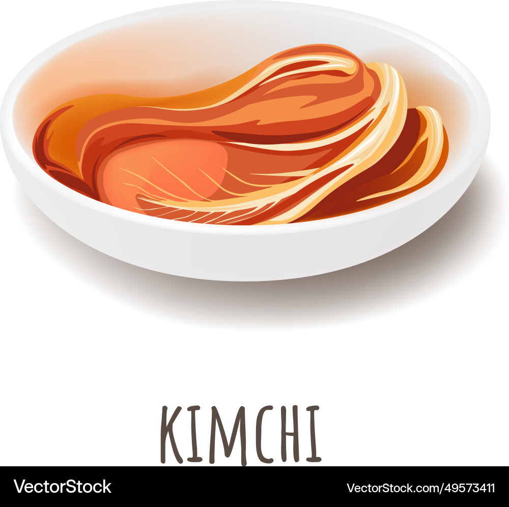 Kimchi traditional korean fermented vegetables Vector Image