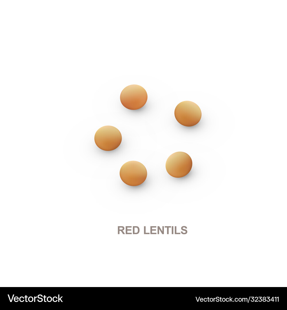 Realistic red lentils for healthy eating Vector Image