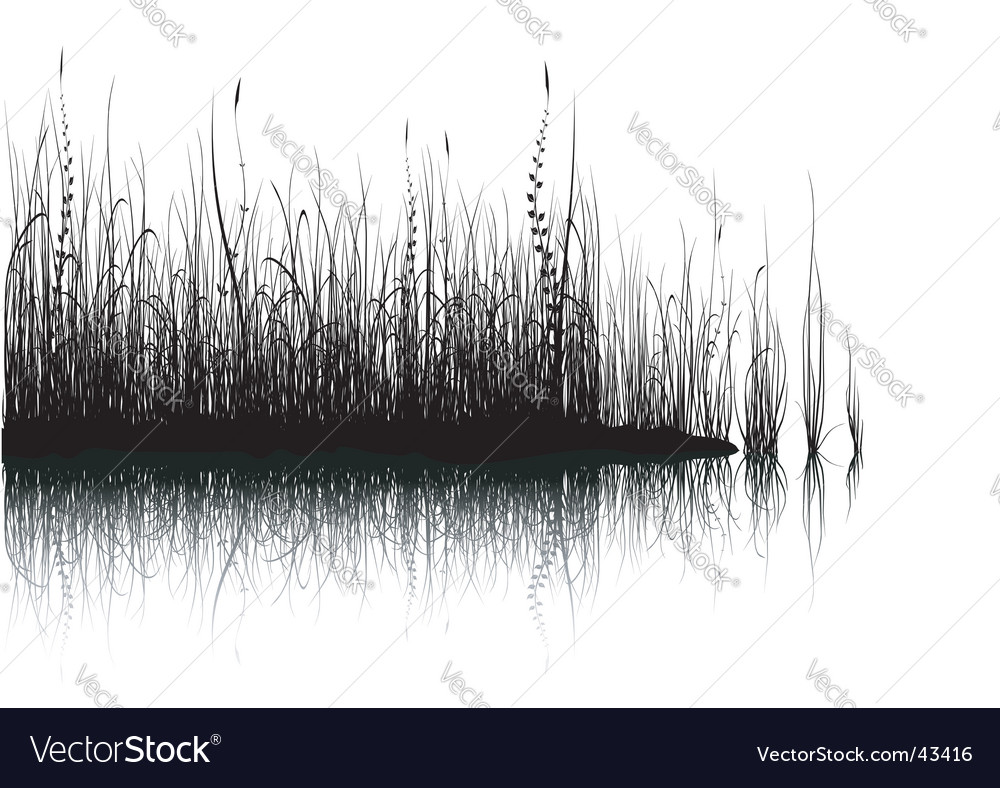 Grass Royalty Free Vector Image - VectorStock