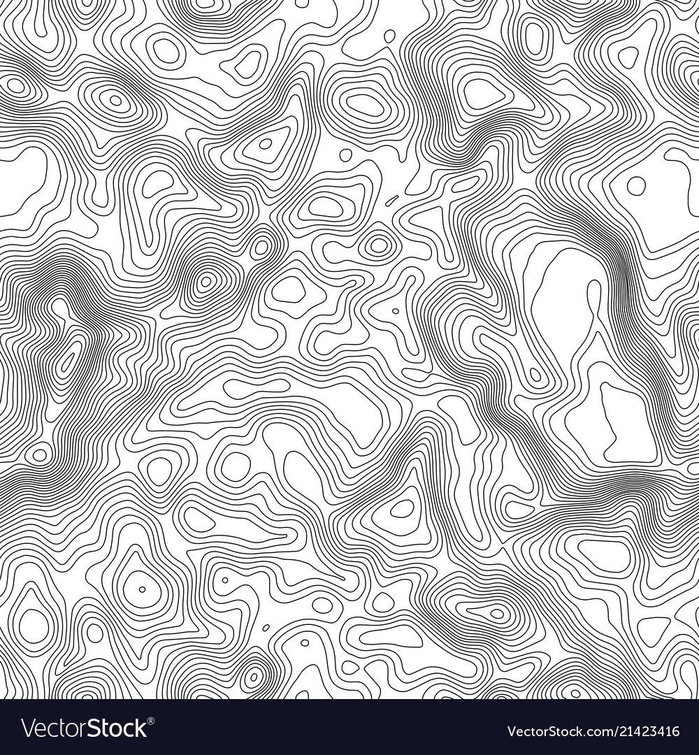 Seamless pattern topographic map background Vector Image
