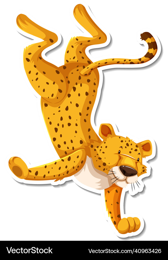 Cheetah dancing cartoon character on white Vector Image