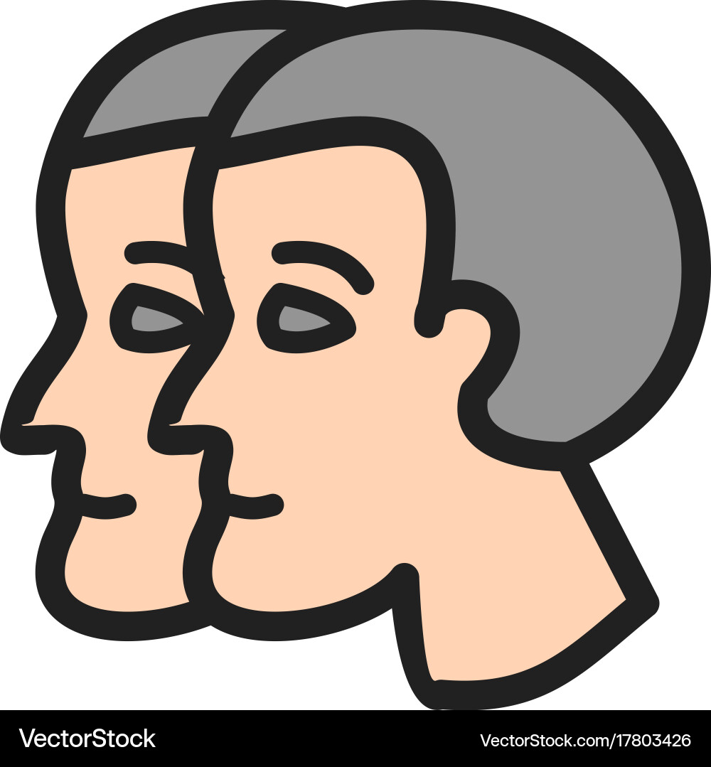 Gemini Royalty Free Vector Image - VectorStock