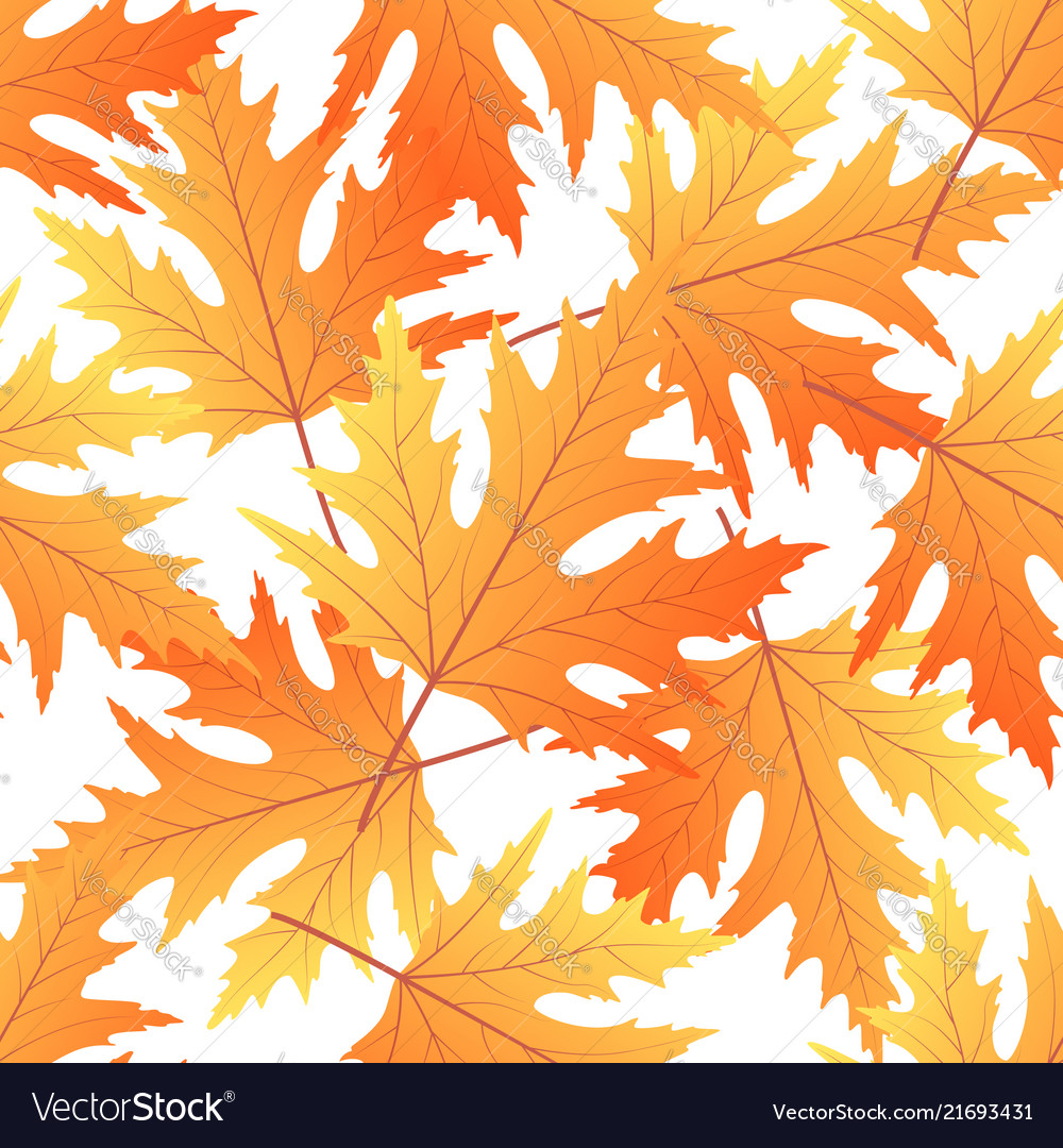 Maple autumn leaf seamless pattern fall Royalty Free Vector