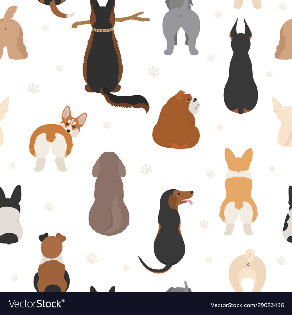 Dog poses behind dogs butts flat design seamless Vector Image