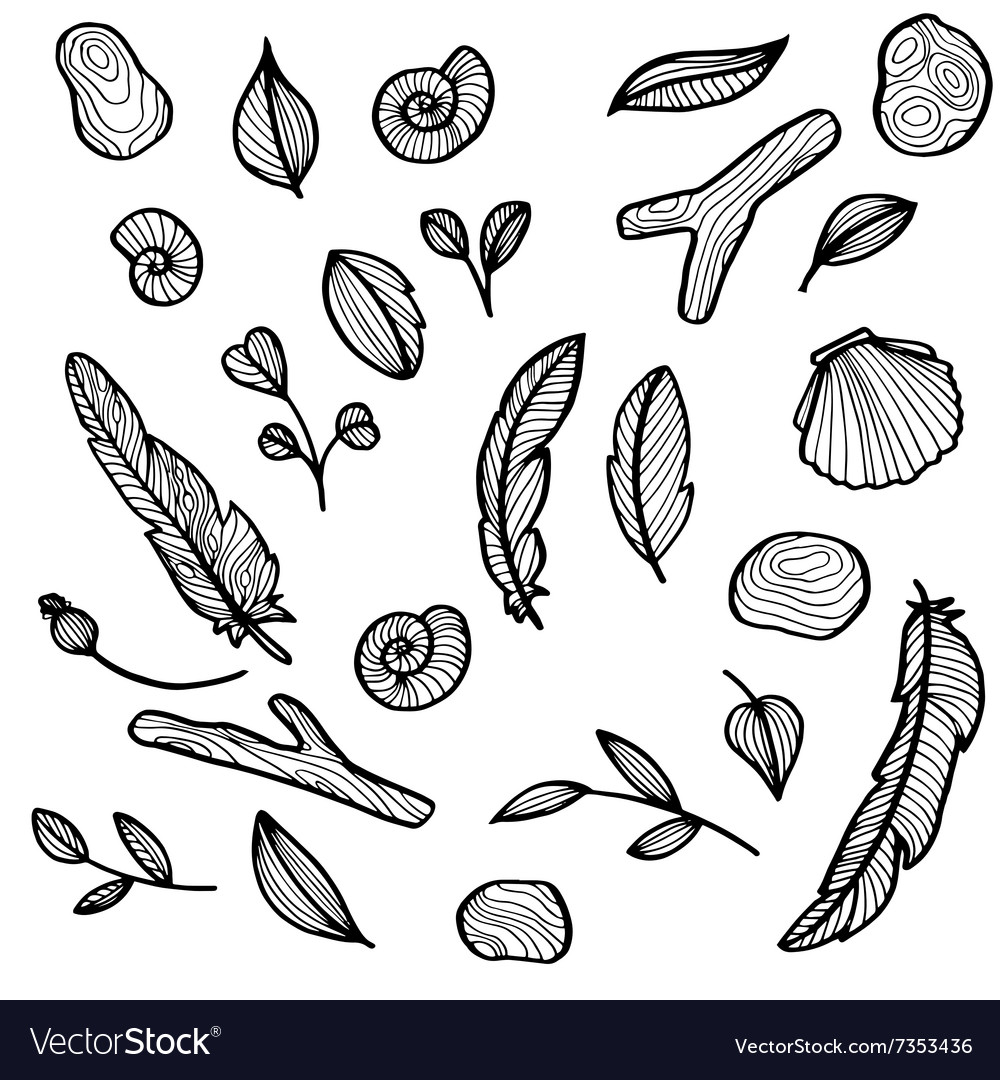 Nature objects Royalty Free Vector Image - VectorStock