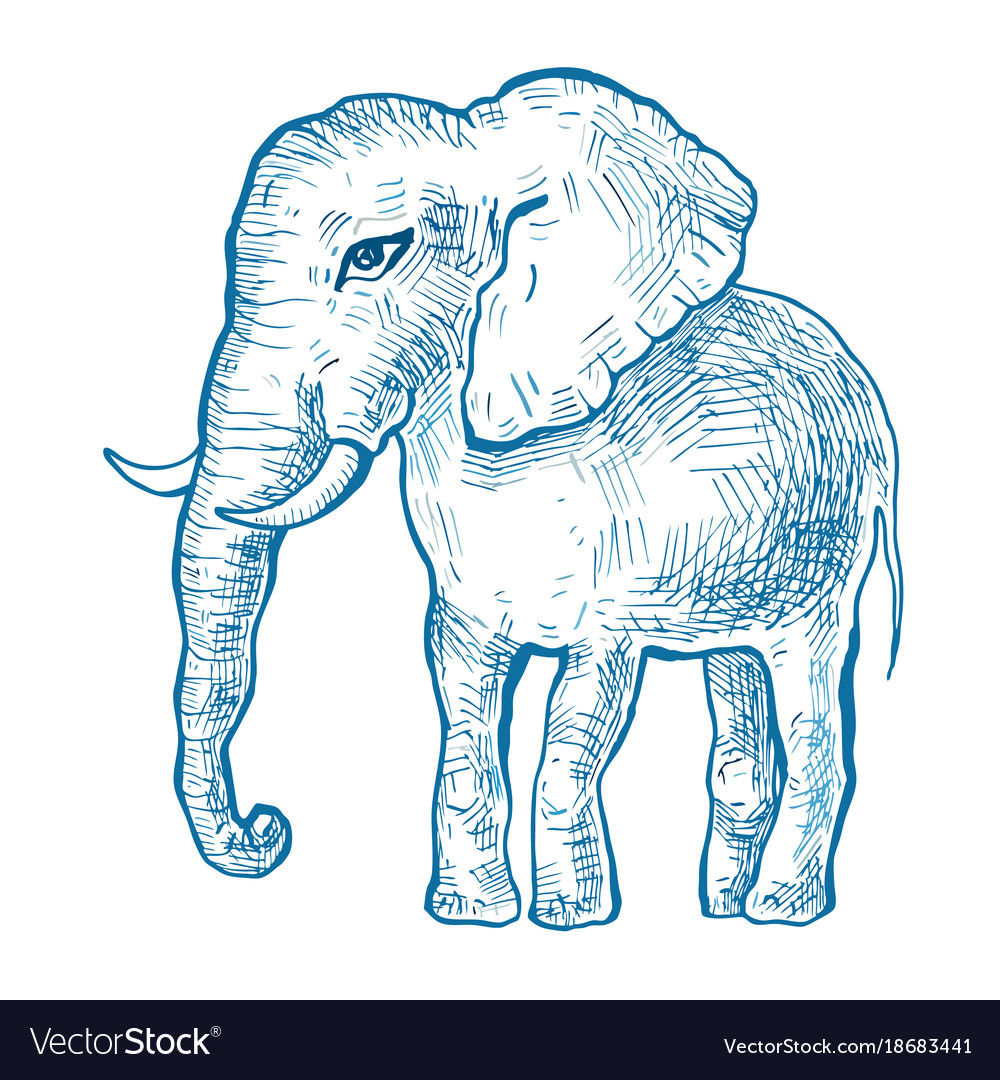 Elephant Royalty Free Vector Image - VectorStock