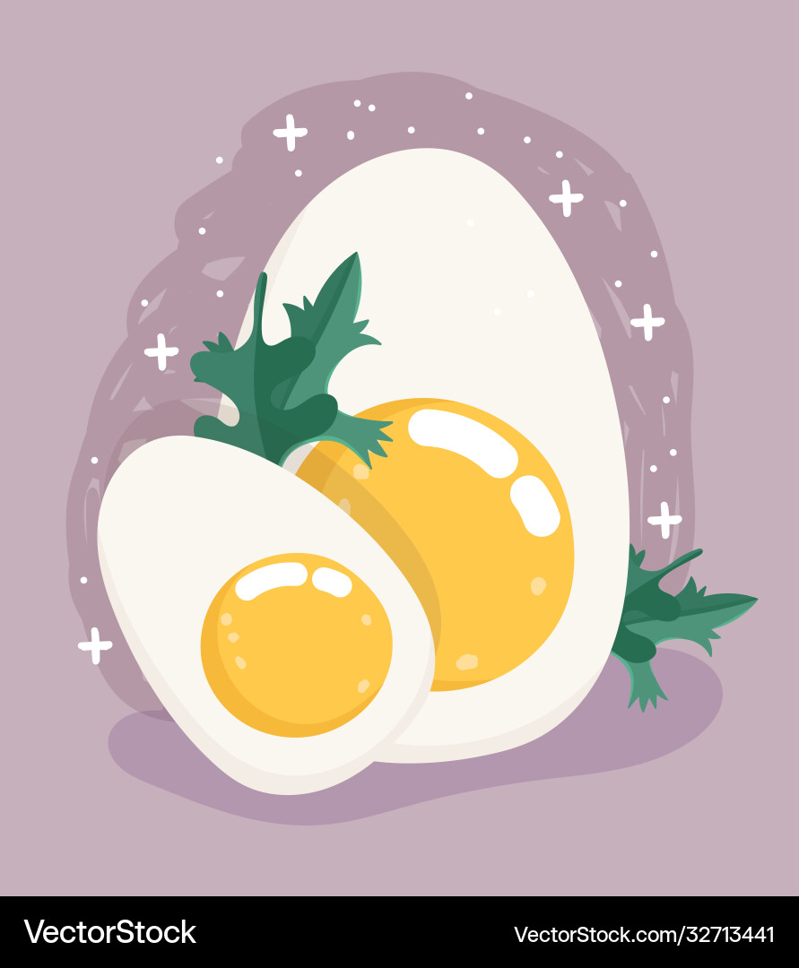 Food menu fresh diet ingredient slice boiled egg Vector Image